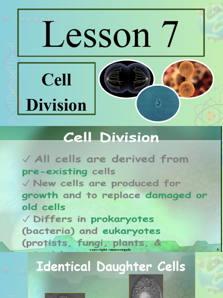 NLC Lesson 7 and 8 | PDF | Meiosis | Genetics