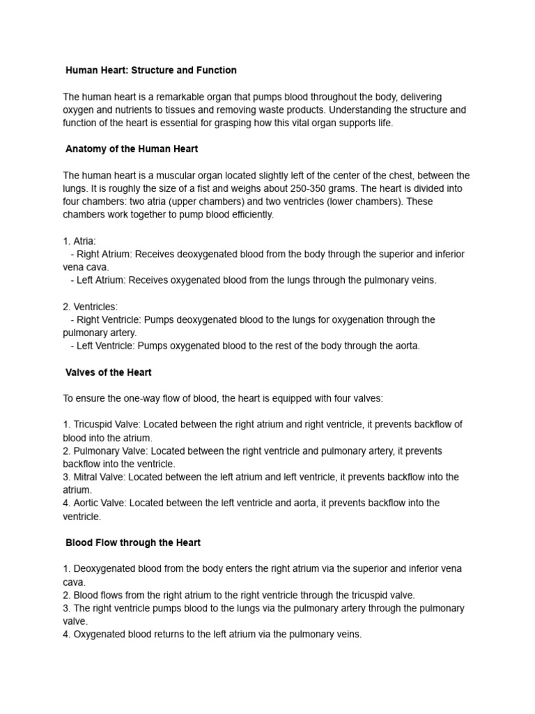 Human Heart_ Structure and Function | PDF | Heart | Heart Valve