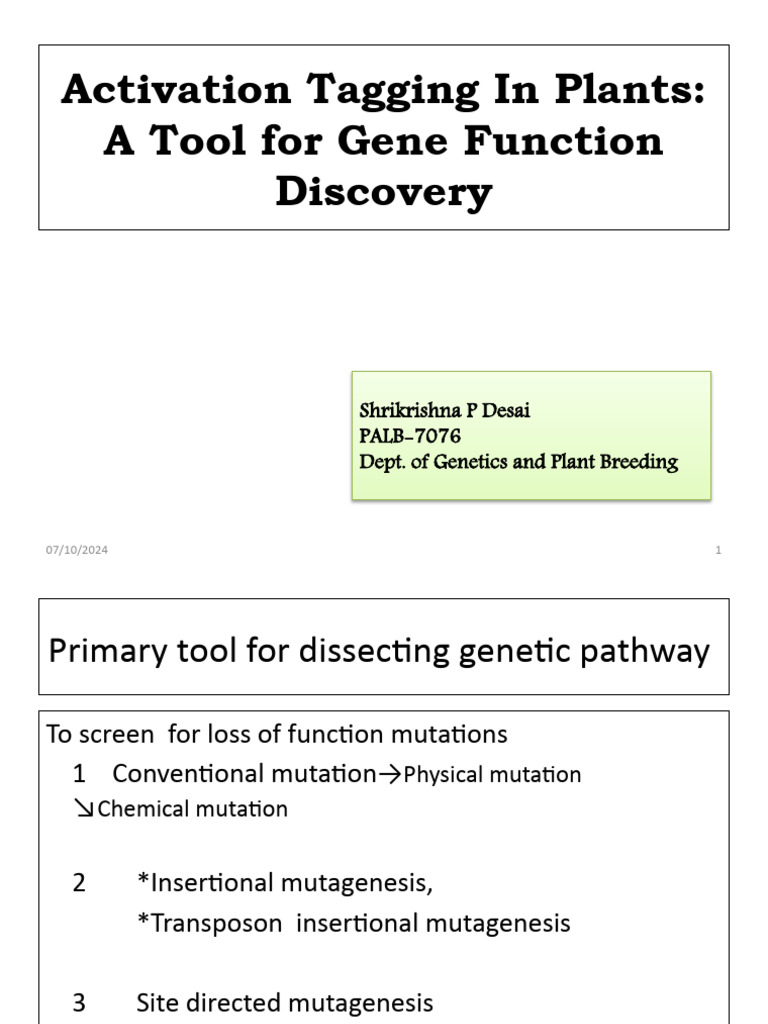 Activation Tagging | PDF | Transgene | Mutation