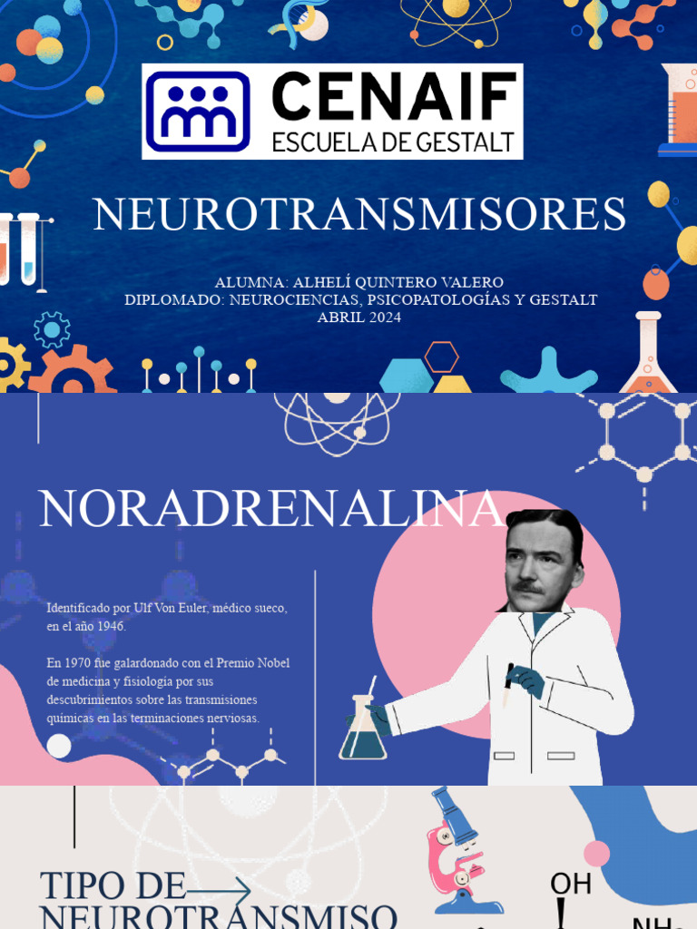 presentacion Noradrenalina | PDF | Norepinefrina | Neurociencia