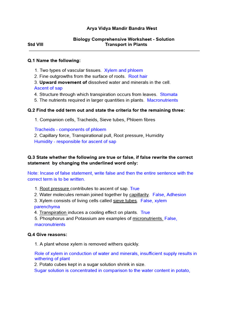 Transport in Plants: Grade 8 Worksheet | PDF | Root | Physiology