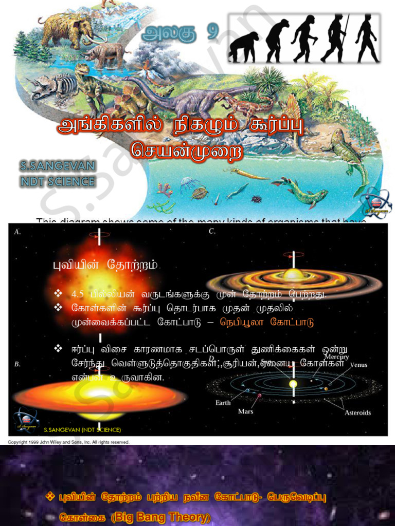 Grade 9 Unit 9 | PDF
