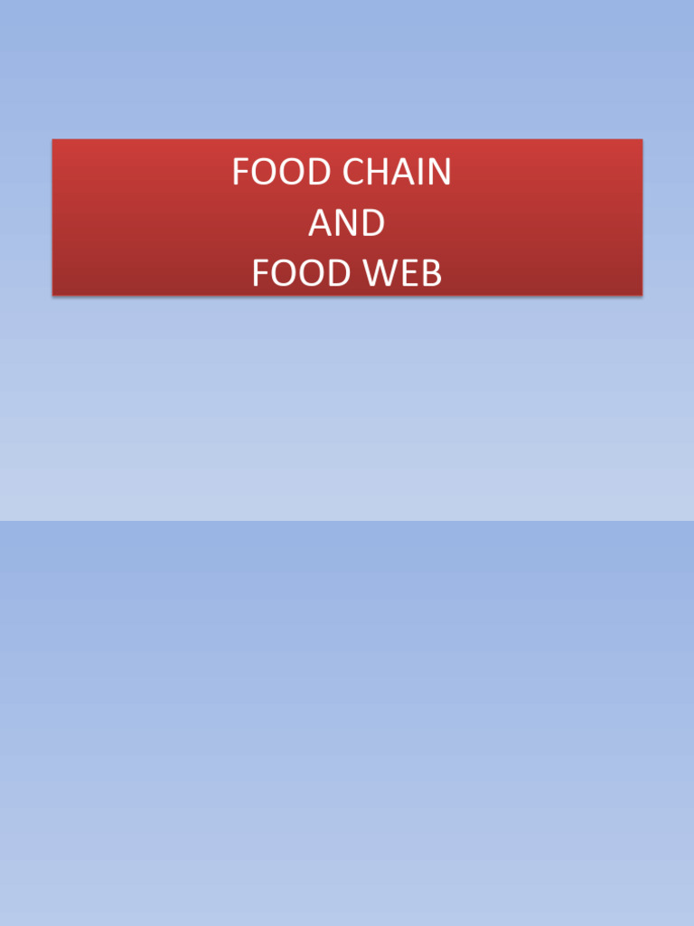 FOOD CHAIN | PDF | Foods | Food Web