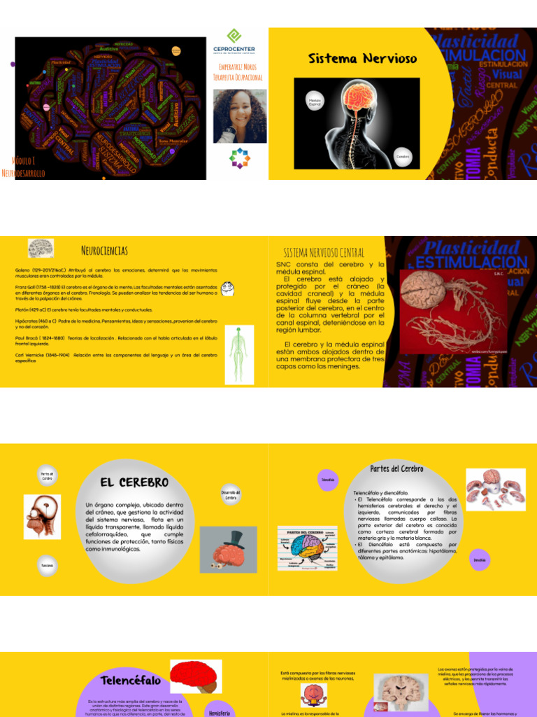 Presentación Modulo 1 | PDF