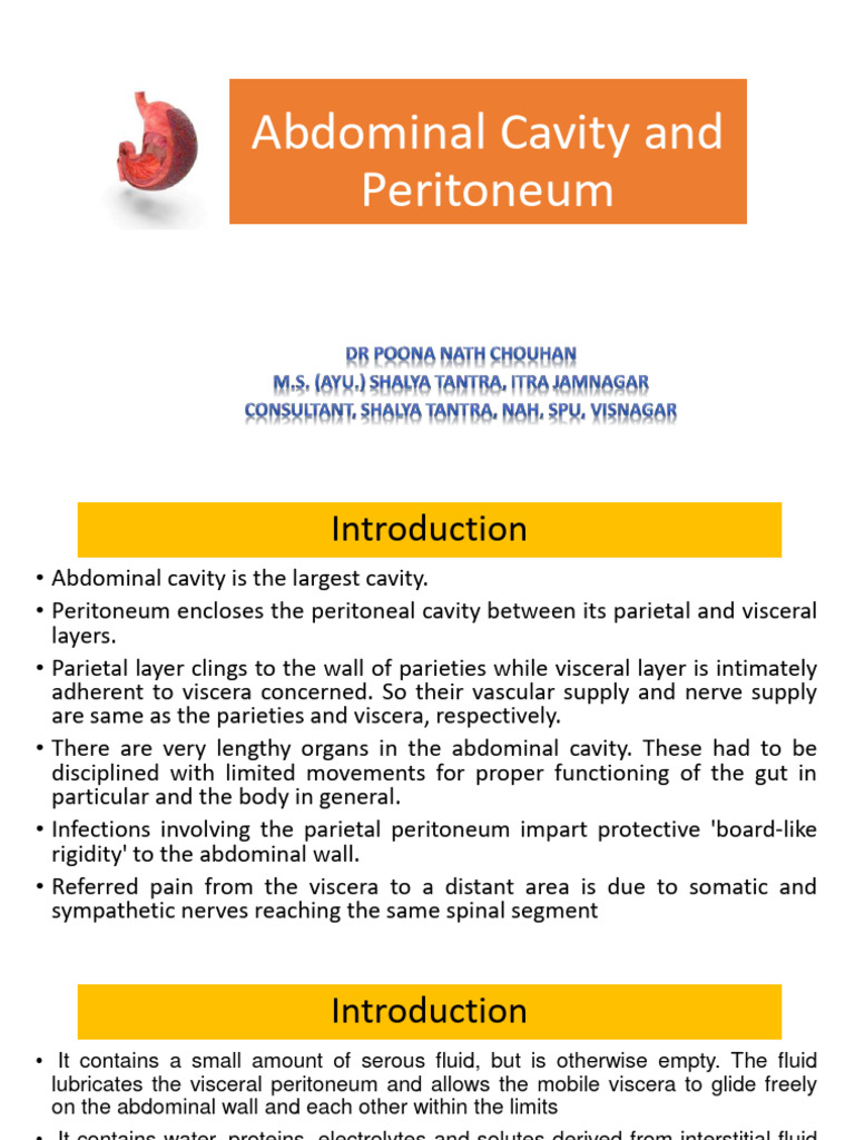 Abdominal Cavity And Peritoneum Pdf Peritoneum Abdomen