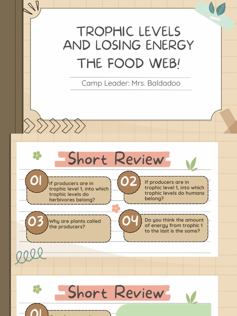Lesson 10-Trophic Levels and Losing Energy on Food Web | PDF
