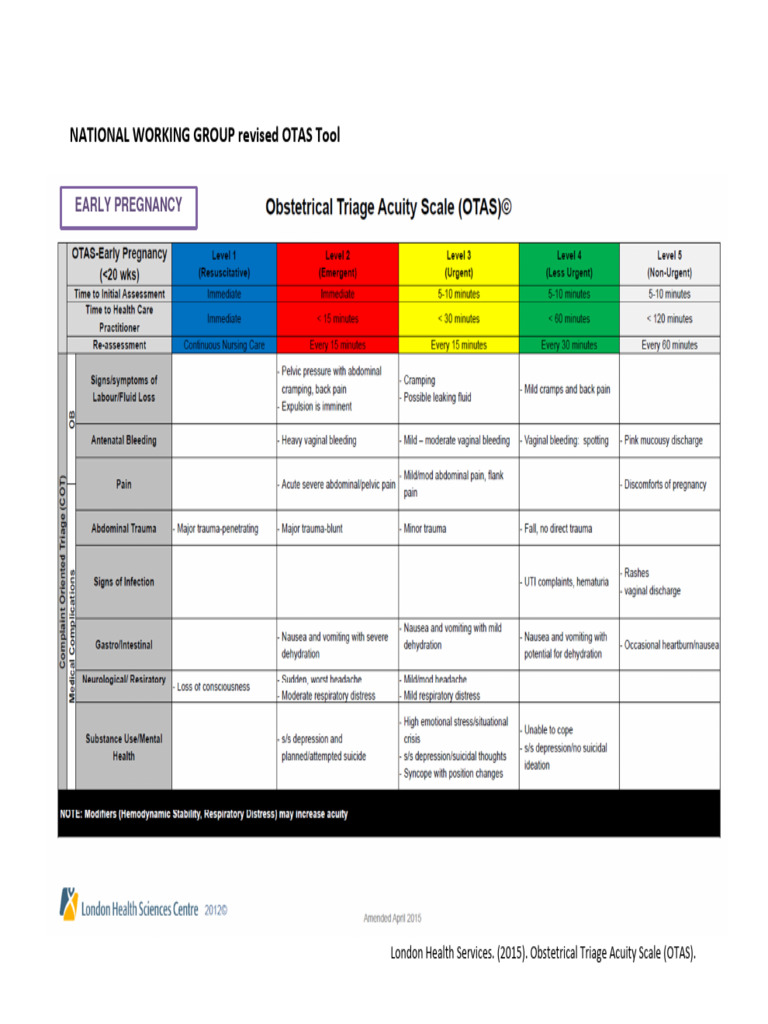 OTAS Tool - 3 Scales | PDF