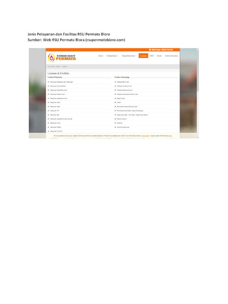 Printscreen Jenis Pelayanan Dan Akses Layanan RSU Permata Blora | PDF