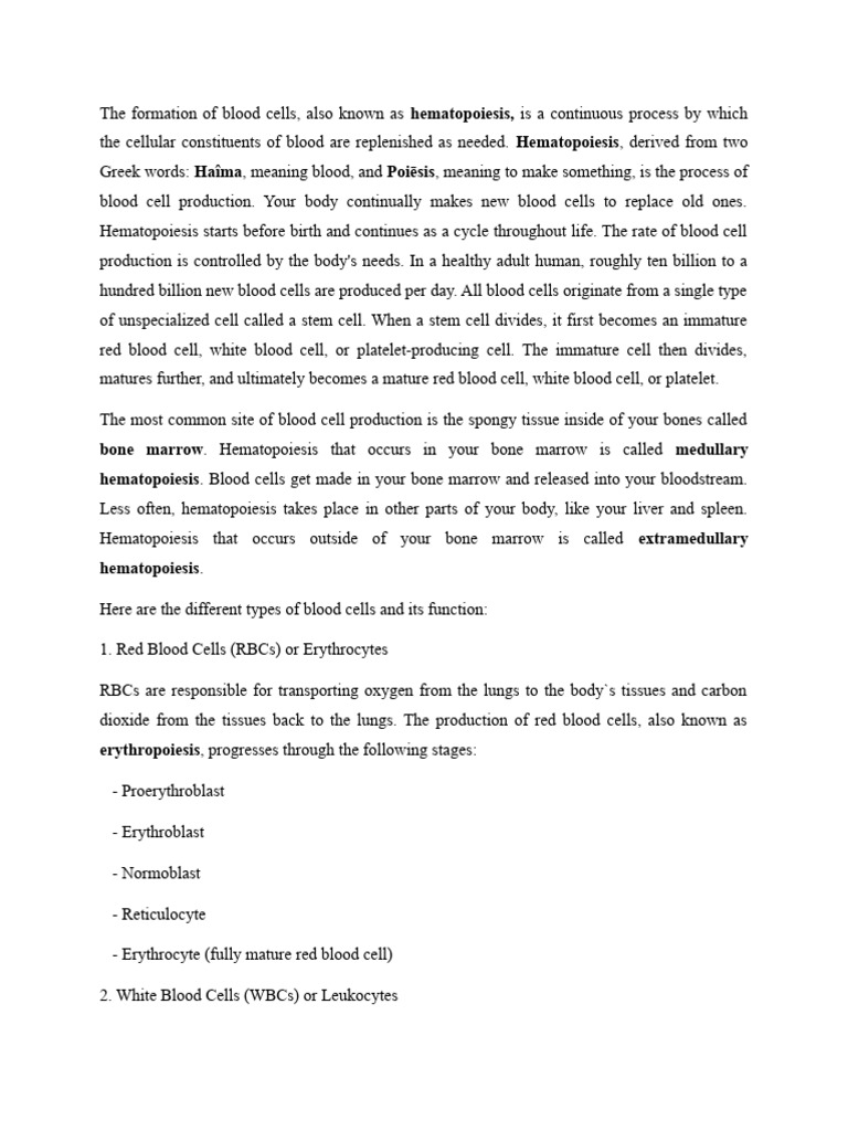The-formation-of-blood-cells | PDF | Blood Cell | Artery