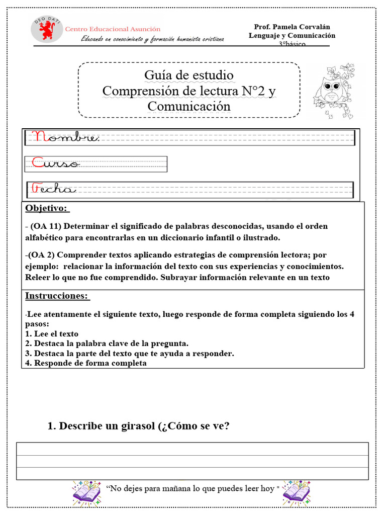 COMPRENSIÓN DE LECTURA N° 2 | PDF | Comprensión lectora | Escritura