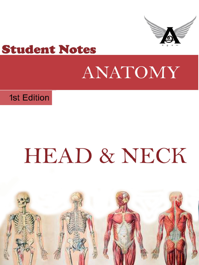 Head Neck Student Notes Agam With Adobe Index Anatomy Decoded