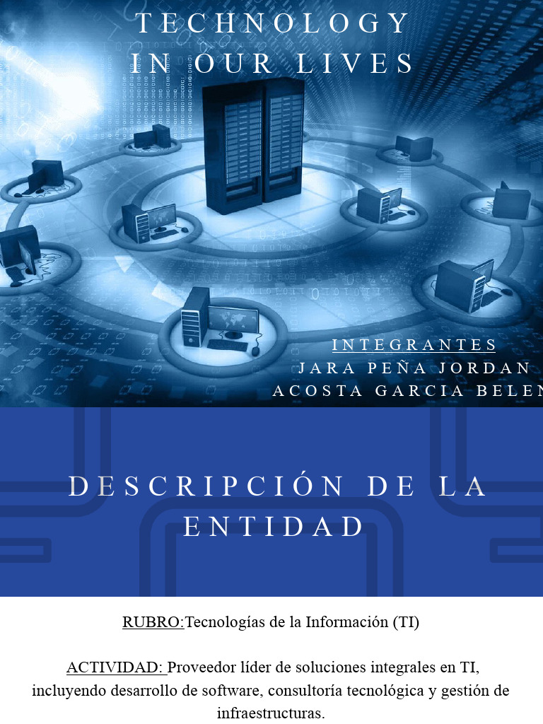 Descripción de La Entidad | PDF | Software | Soporte técnico