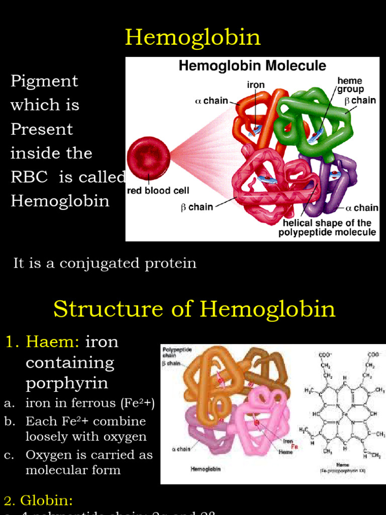 Hemoglobin: Pigment Which Is Present Inside The RBC Is Called ...