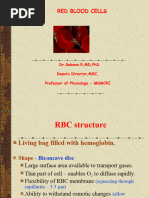 Red Blood Cell Adaptations Explained | PDF