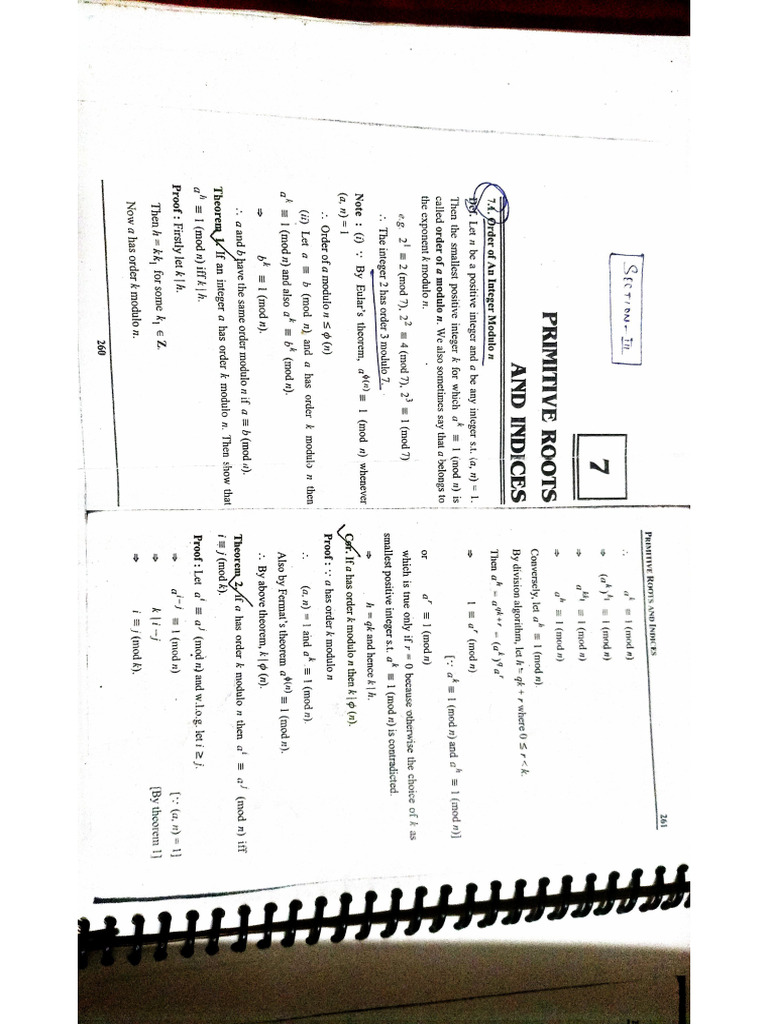 Primitive Roots | PDF