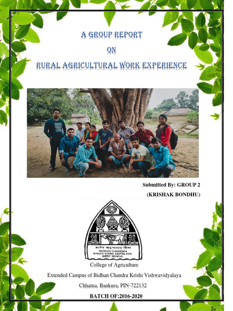 Rawe Final Report of Group 2 | PDF | Ph | Soil