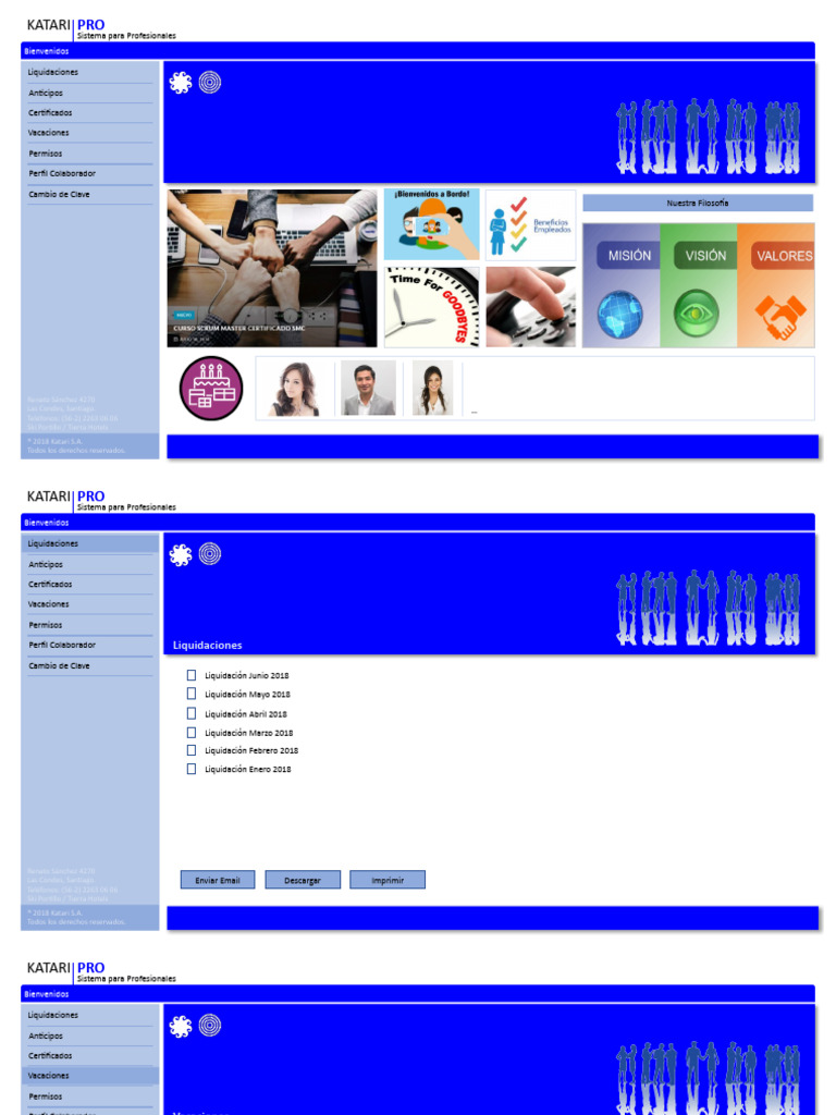 Propuesta Cuenta Perfil Colaborador | PDF