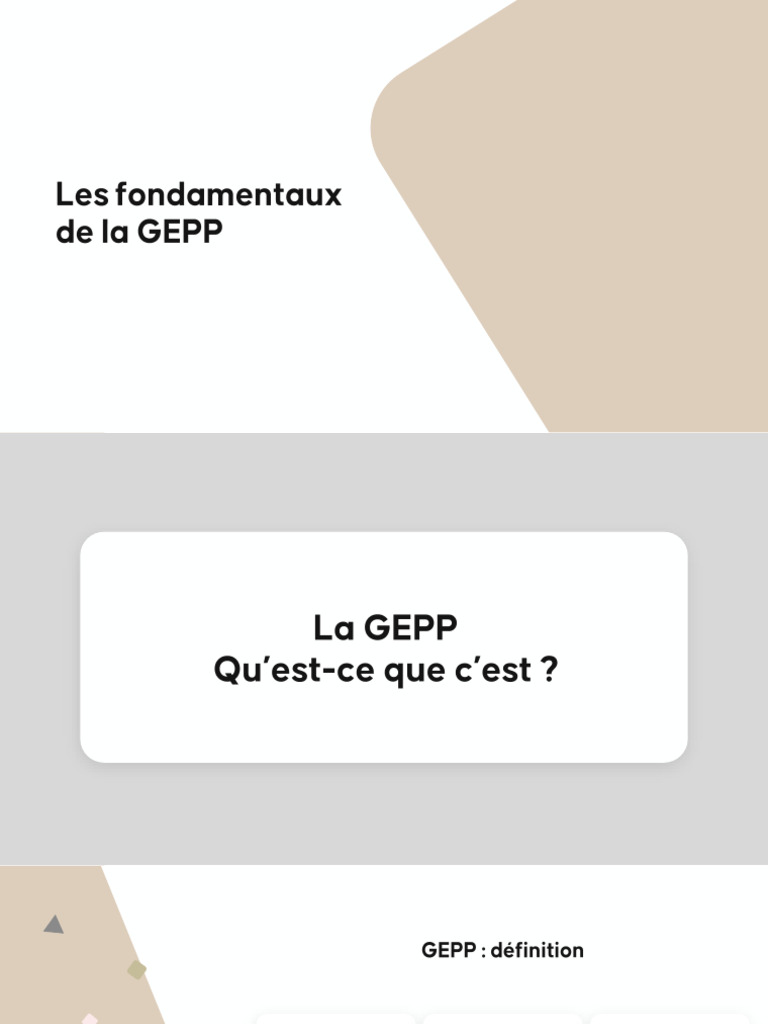 Support - Les Fondamentaux de La GEPP | PDF