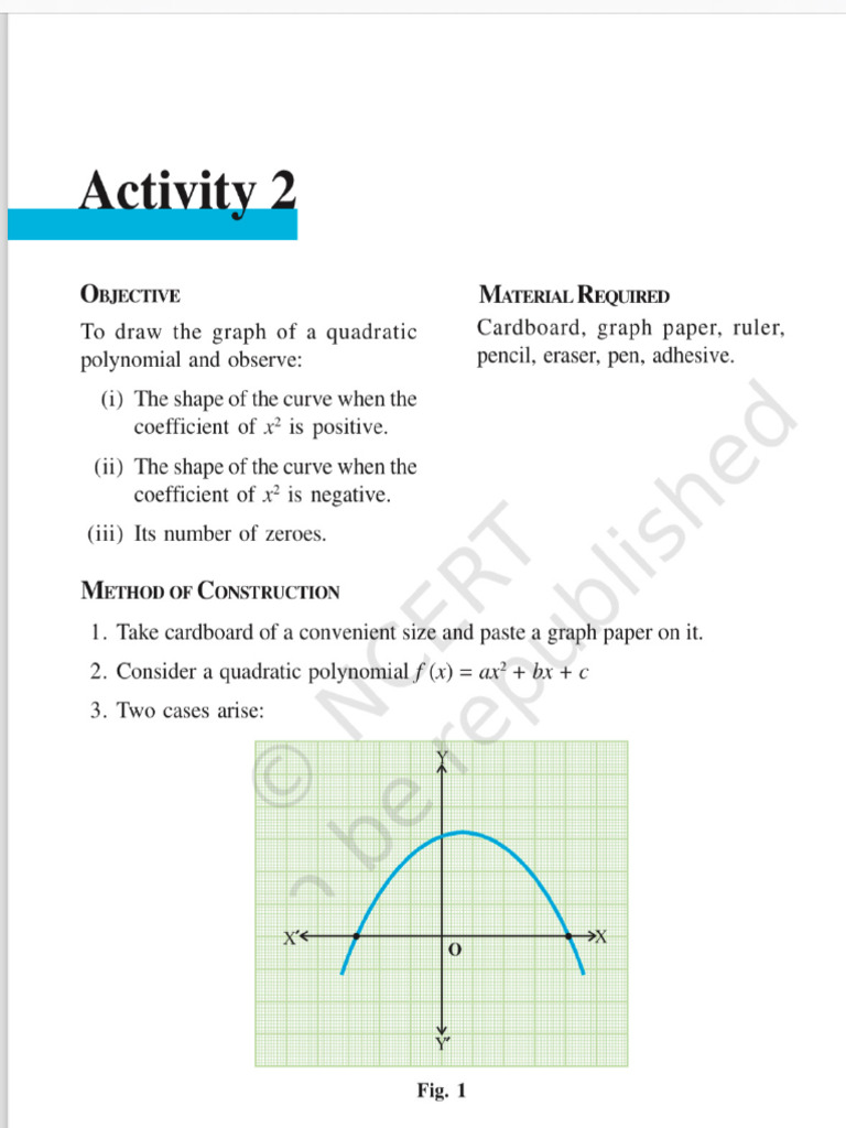 Maths Activity Class 10 | PDF