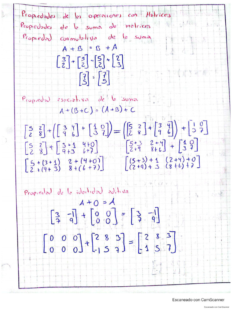 Propiedades de Matrices | PDF