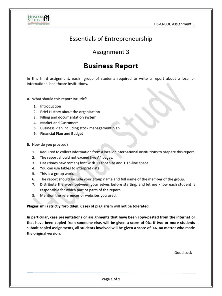 A03 Business Report | PDF