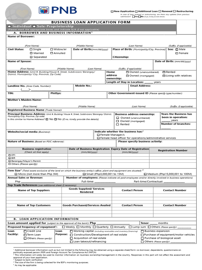 PNB Standard Business Loan Application Form SBLAF Individual Single ...