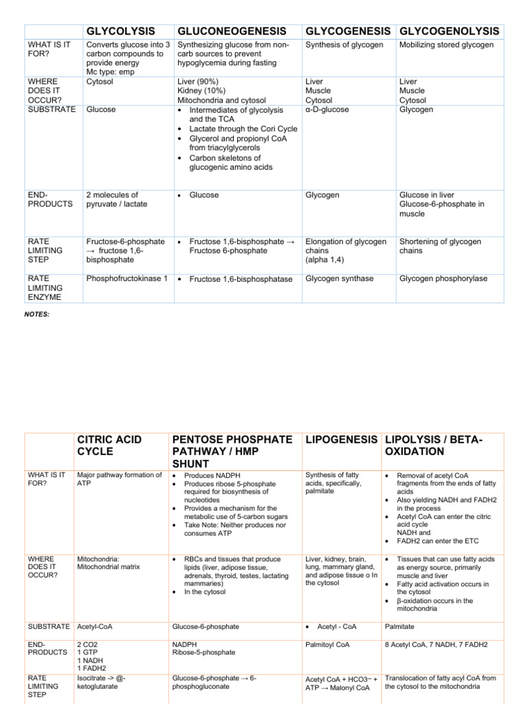 Biochem Pathways Ple2022 | PDF | Glycolysis | Citric Acid Cycle