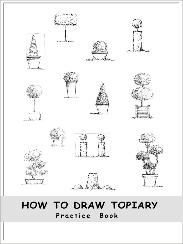 Topiary Cards PDF | Download Free PDF | Drawing