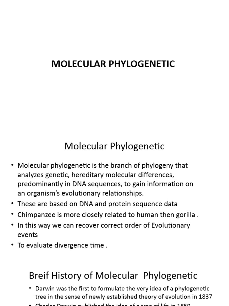 Molecular Phylogenetics | PDF | Molecular Phylogenetics | Phylogenetic Tree