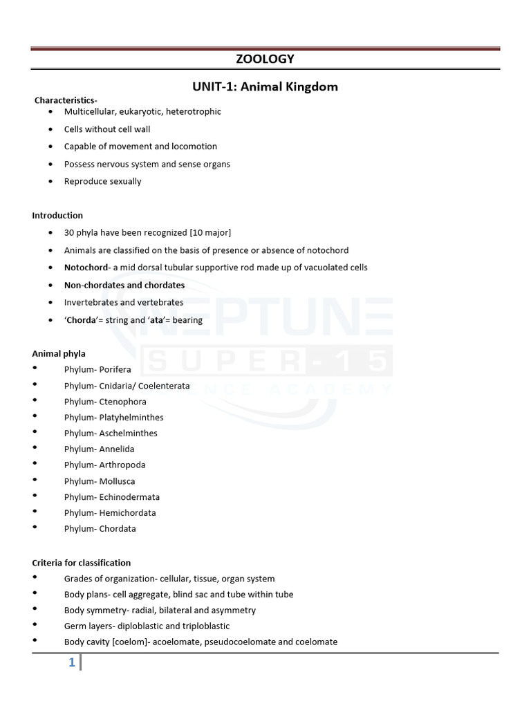 Animal Kingdom | PDF | Invertebrate | Zoology