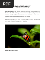 Cygnustech Macro Diffuser Manual | PDF