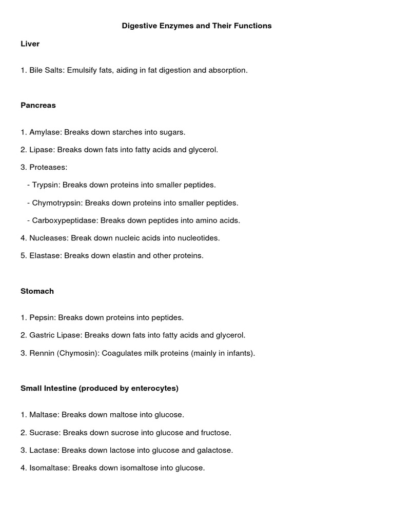 Digestive Enzymes and Their Functions | PDF | Wellness