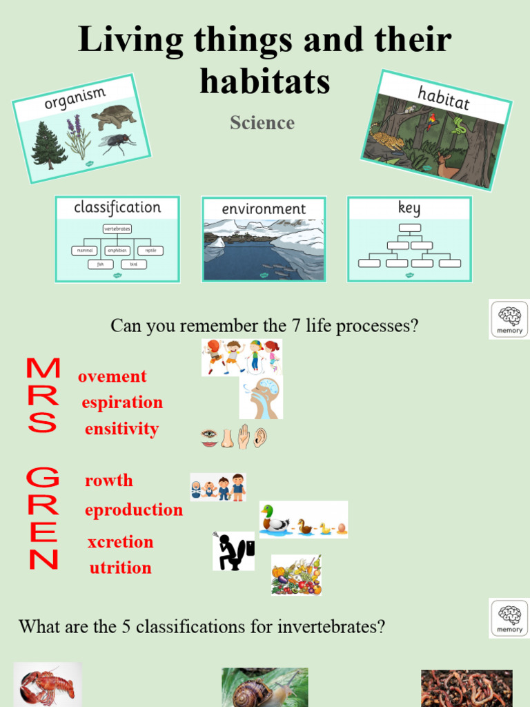 Rainforest Protection Slides Pdf Rainforest Deforestation