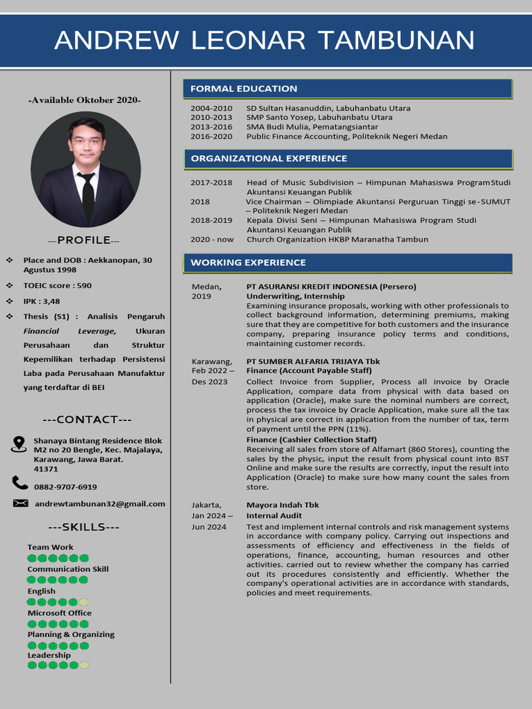 CV Andrew Tambunan | PDF | Business | Economies