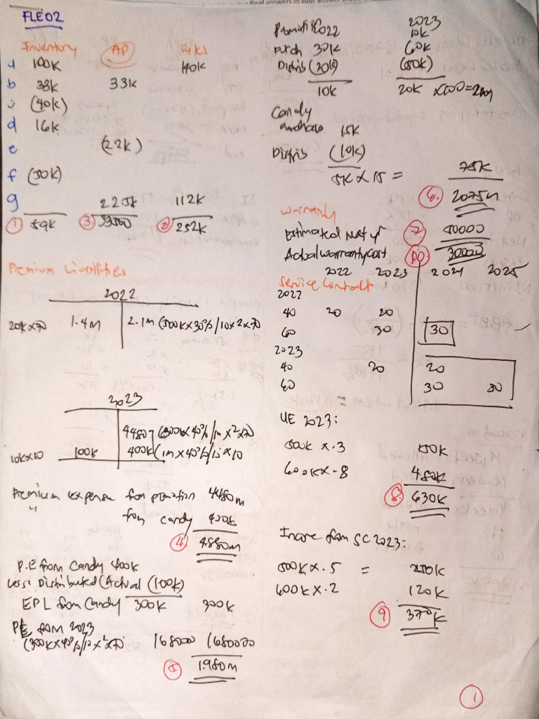 Fle 02 Solman Aud3 | PDF