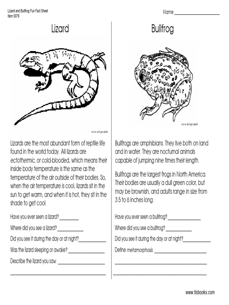 Edu Color Lizard and Bullfrog | PDF | Science & Mathematics
