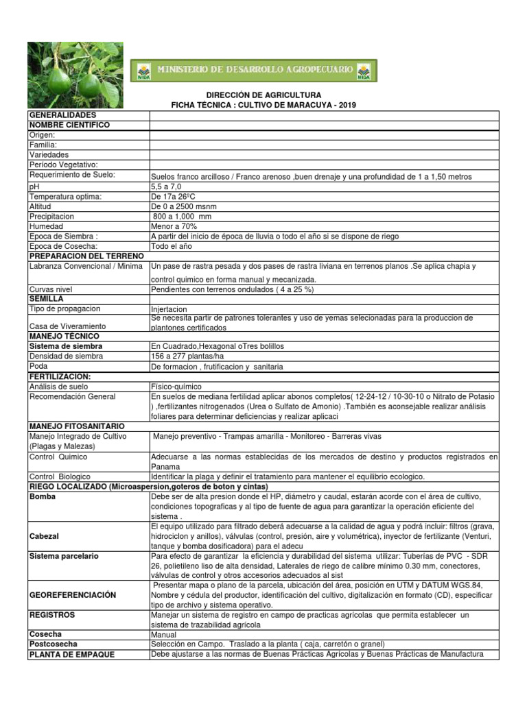 Fichas Tecnicas Citricas | PDF | Fertilizante | Agricultura