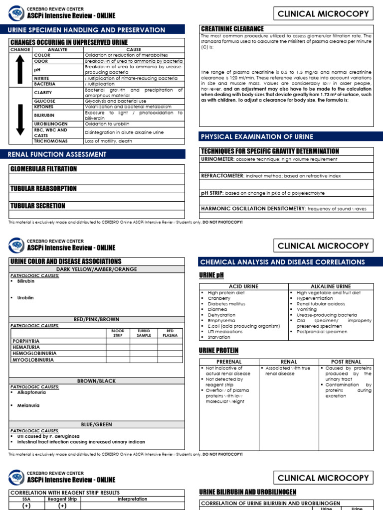 clinical-microscopy-notes-ascpi-intensive-digital-review-pdf
