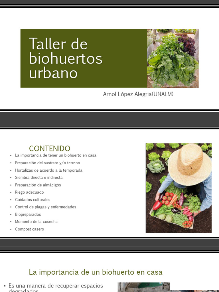 Taller de Biohuertos Completo | PDF | Vegetales | Siembra