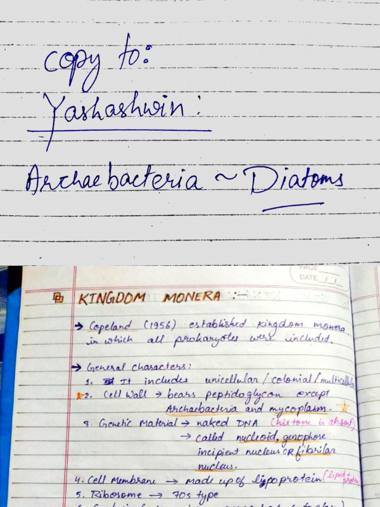 Precise Handwritten Notes Archaebacteria To Chrysophytes | PDF ...