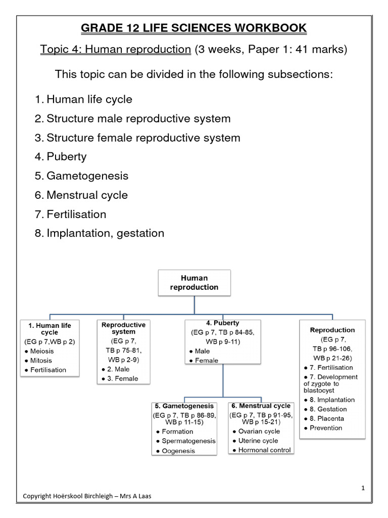 GR 12 LS Topic 4 - Human Reproduction - 2021 - Workbook - RL | PDF | Menstrual Cycle ...