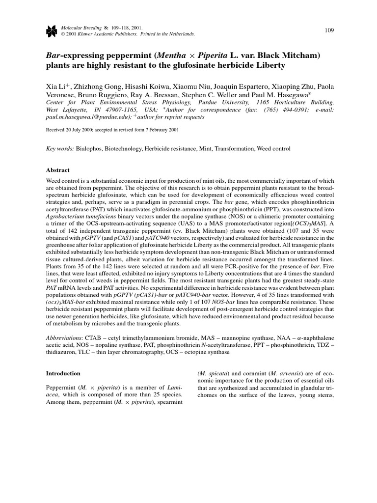 Li Bar Peppermint mbr'01 | PDF | Genetically Modified Organism | Herbicide