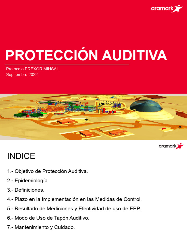Capacitacion Epp Auditivo | PDF | ruido | Sonido
