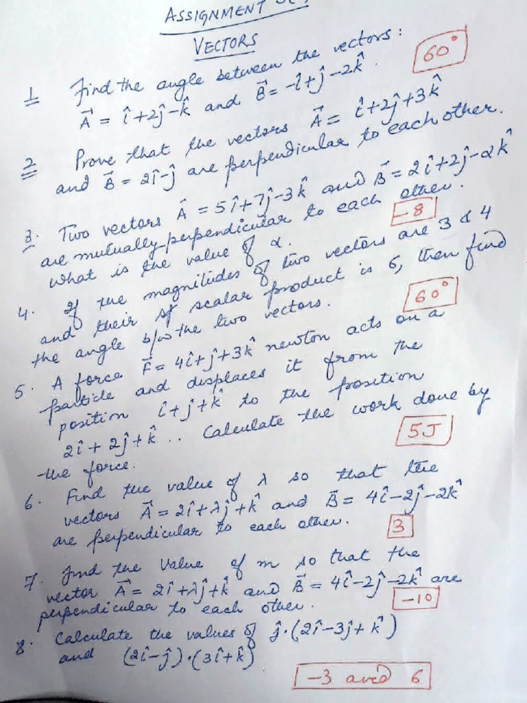 vectors ...assignment 3b | PDF