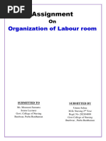 Understanding LDRP in Maternity Care | PDF | Caesarean Section | Childbirth