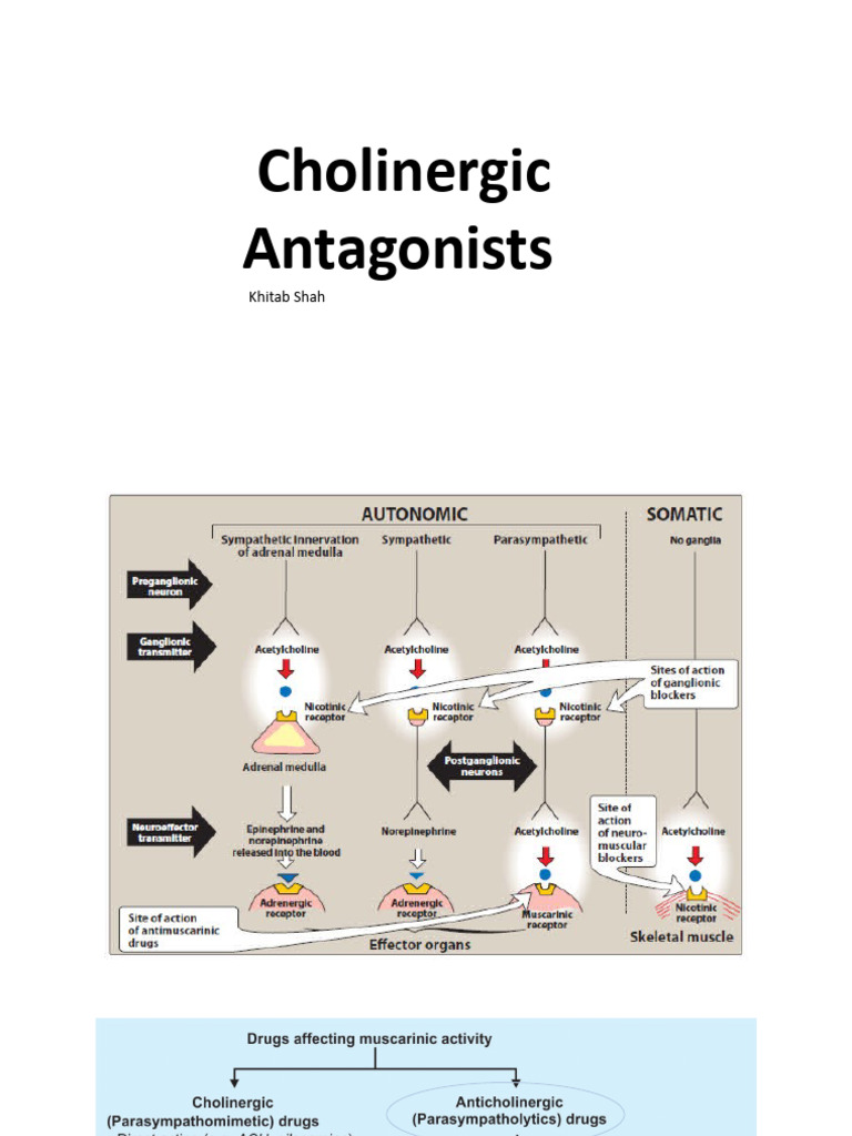 Cholinergic Antagonists Overview | PDF | Acetylcholine | Drugs Acting ...