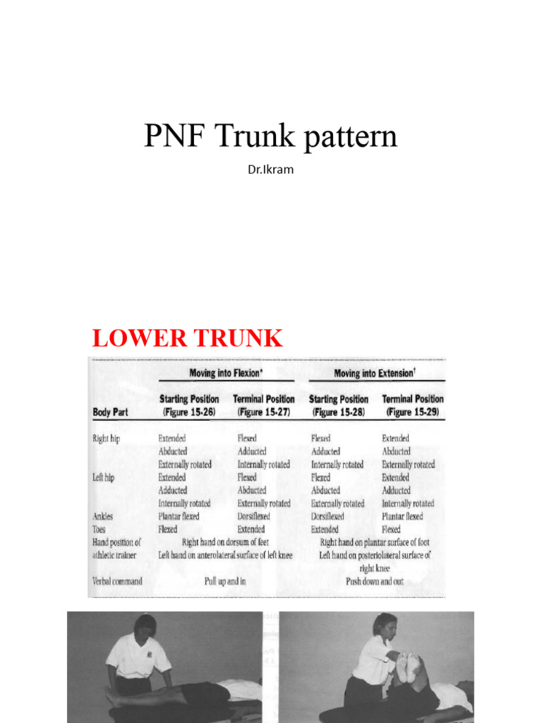 PNF 3 new | PDF
