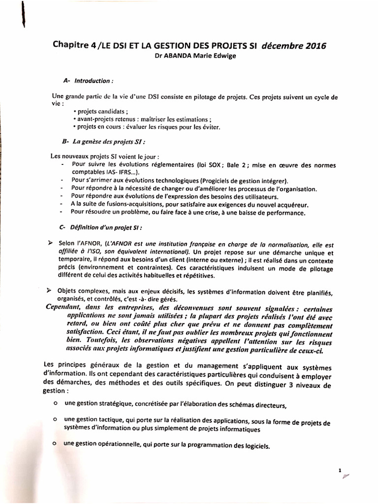 Le DSI et la gestion des projets SI | PDF
