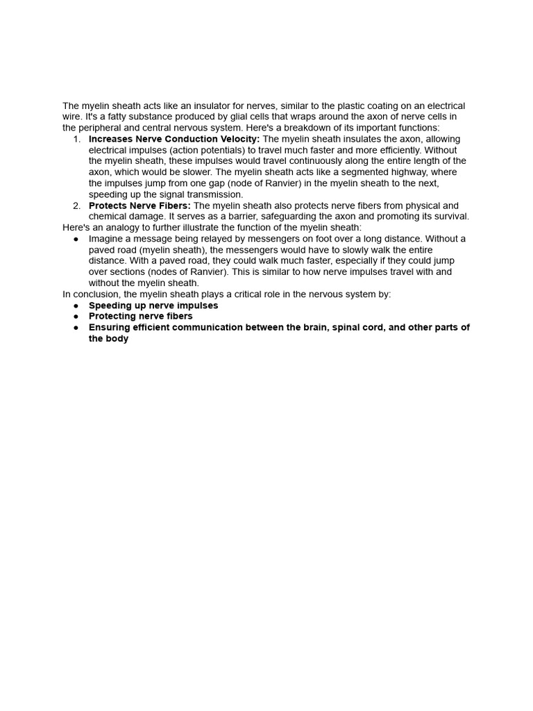 Function of Myelin Sheath PDF | PDF