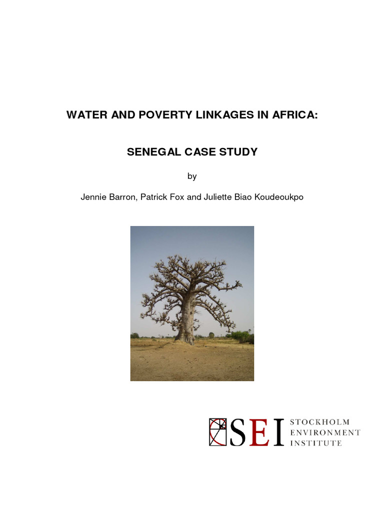 AfDB Water and Poverty Senegal FINAL | PDF | Groundwater | Millennium ...